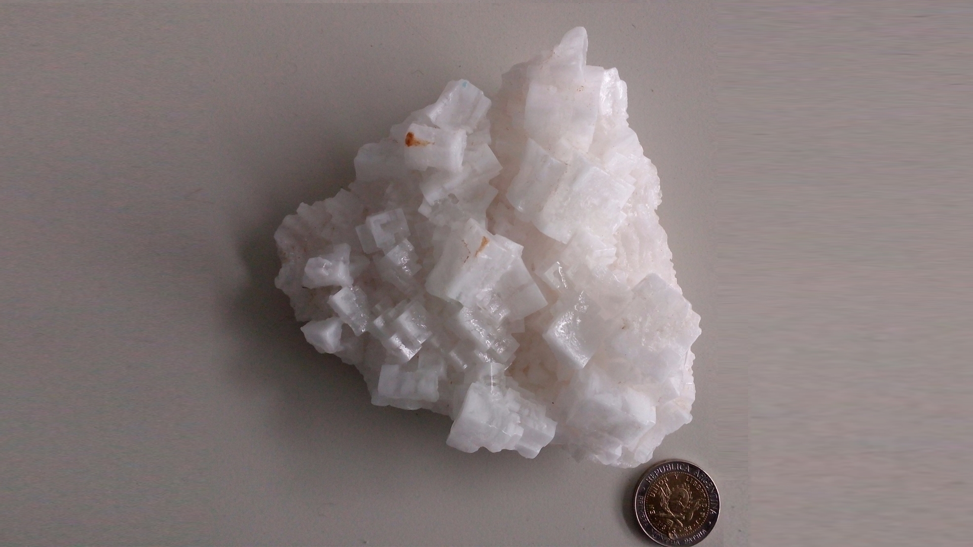 Estudiantes de Geología presentan información sobre rocas y minerales ...