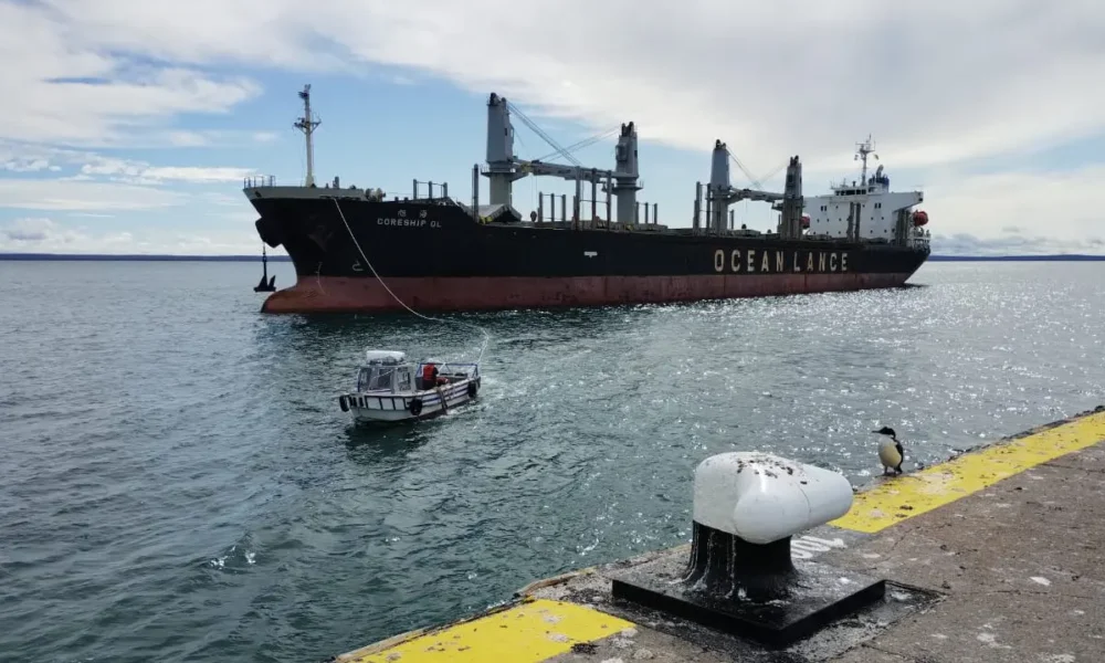 Llegaron al Puerto SAE 8 mil toneladas de acero para el oleoducto VMOS | La Super Digital